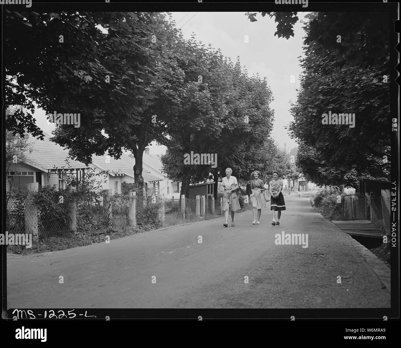 Typical surfaced street and houses. Jewell Ridge Coal Company, Jewell ...