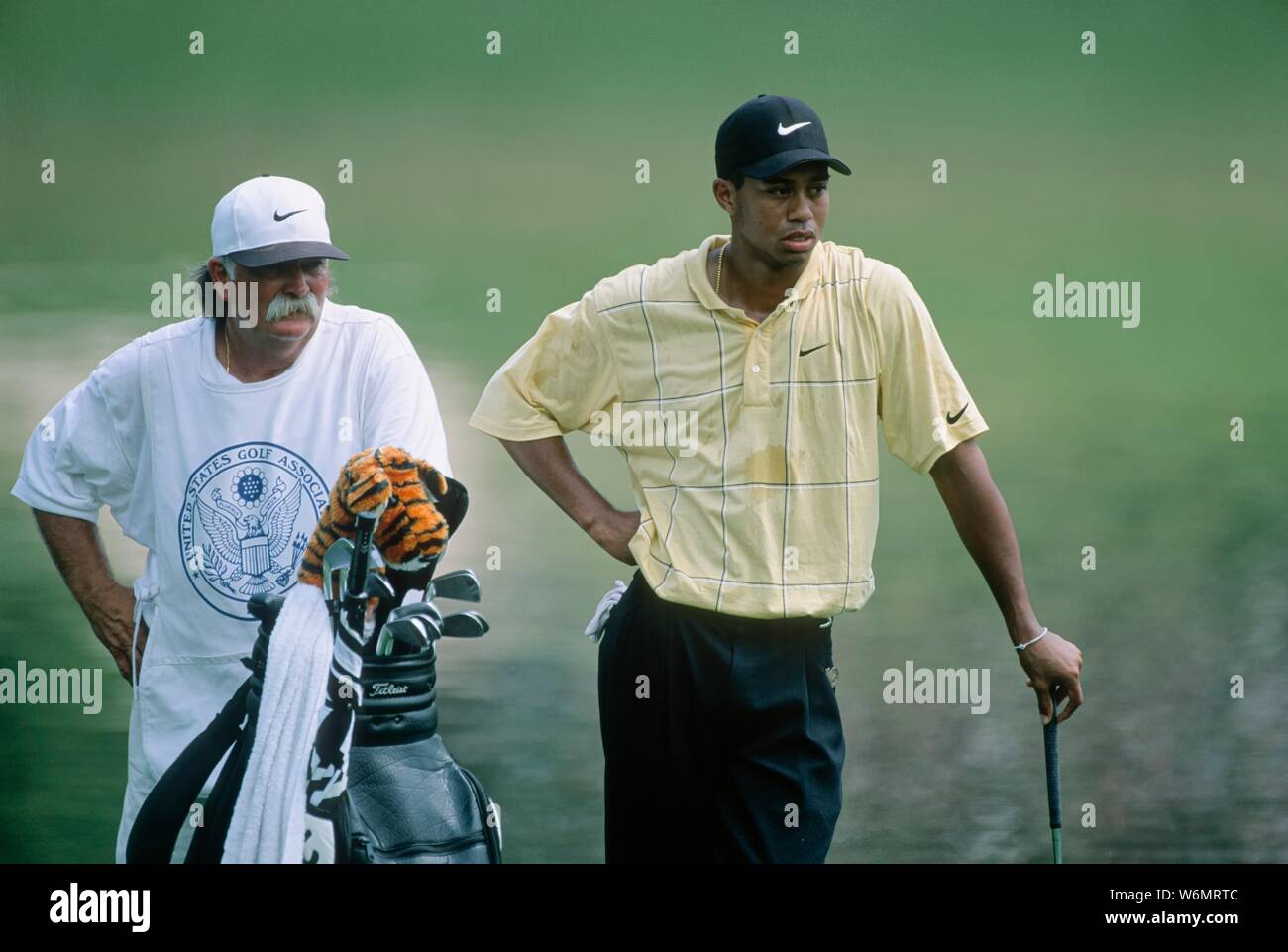 Tiger Headcover High Resolution Stock Photography and Images - Alamy