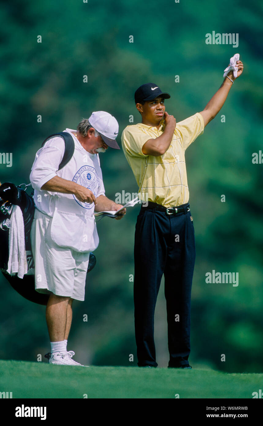 Mike The Tiger High Resolution Stock Photography and Images - Alamy