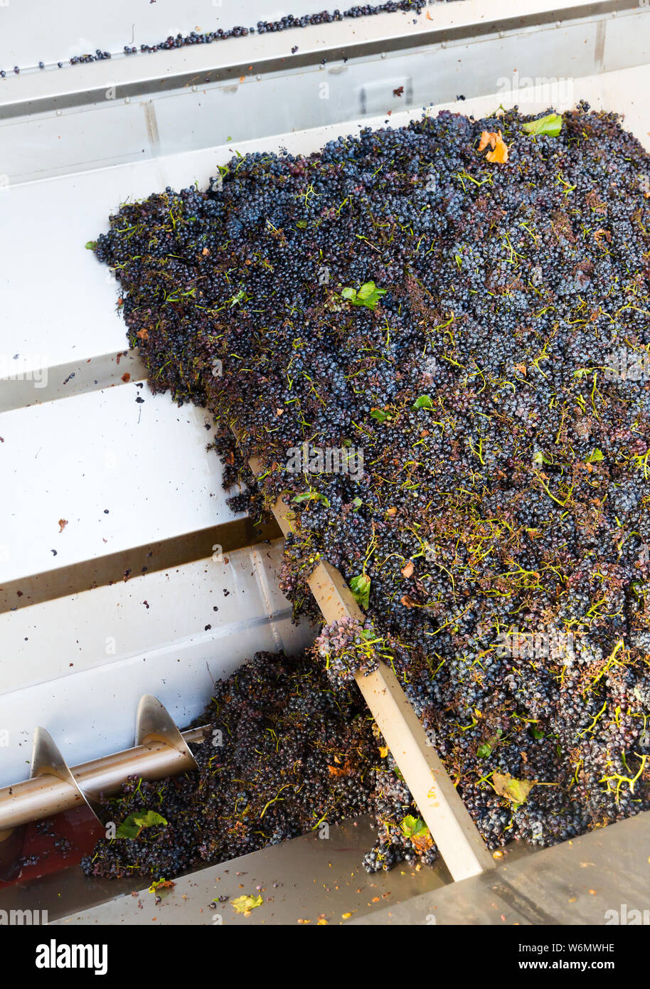 Industrial grape harvesting machine hi-res stock photography and images ...
