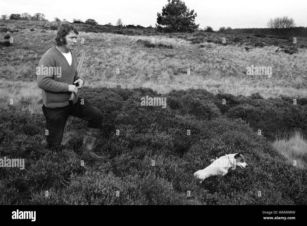 English countryside rabbit Black and White Stock Photos & Images - Alamy