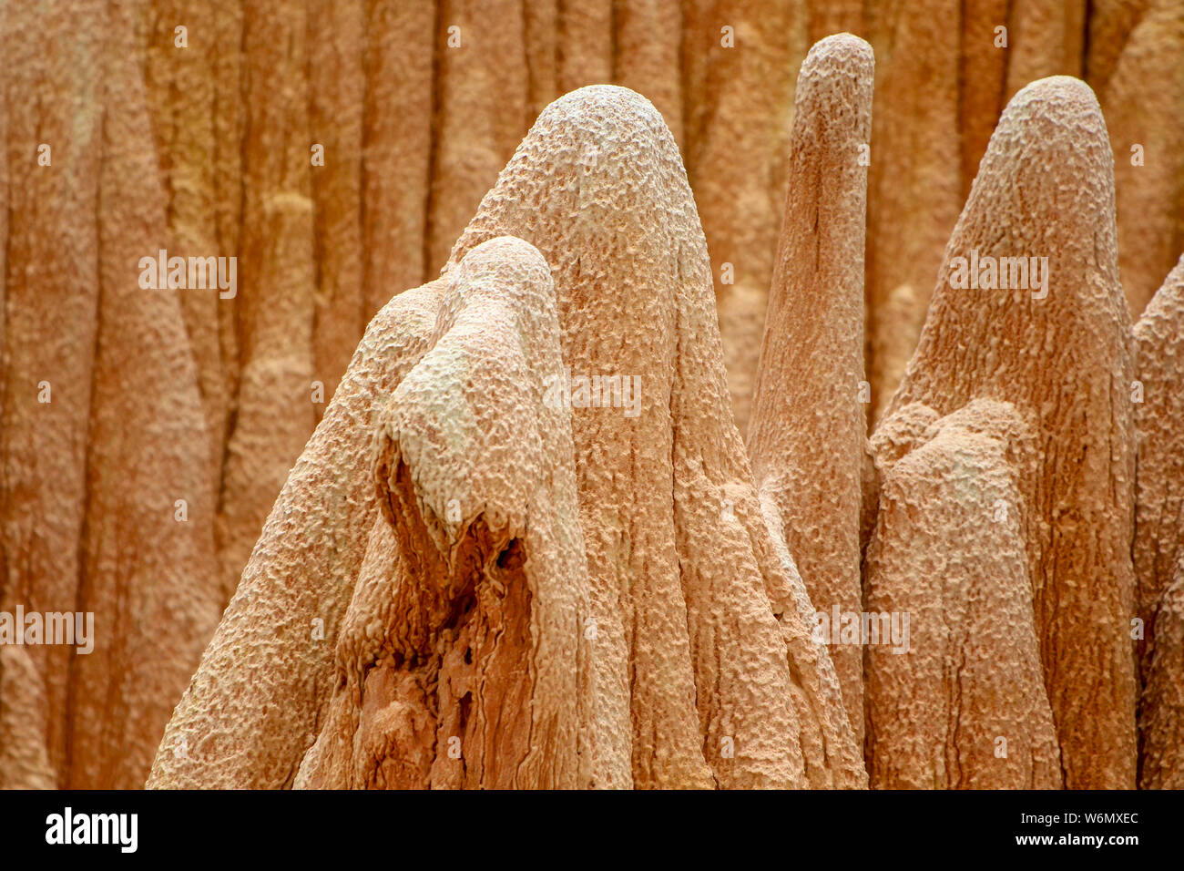 Red sandstone formations and needles (Tsingys) in Tsingy Rouge Park in ...