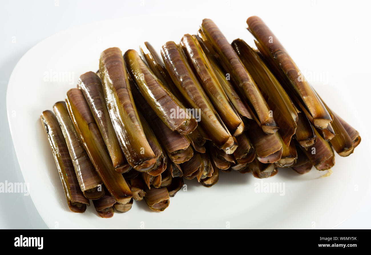 Seafood appetizer. Raw fresh molluscs razorshell (ensis) in shells on ...
