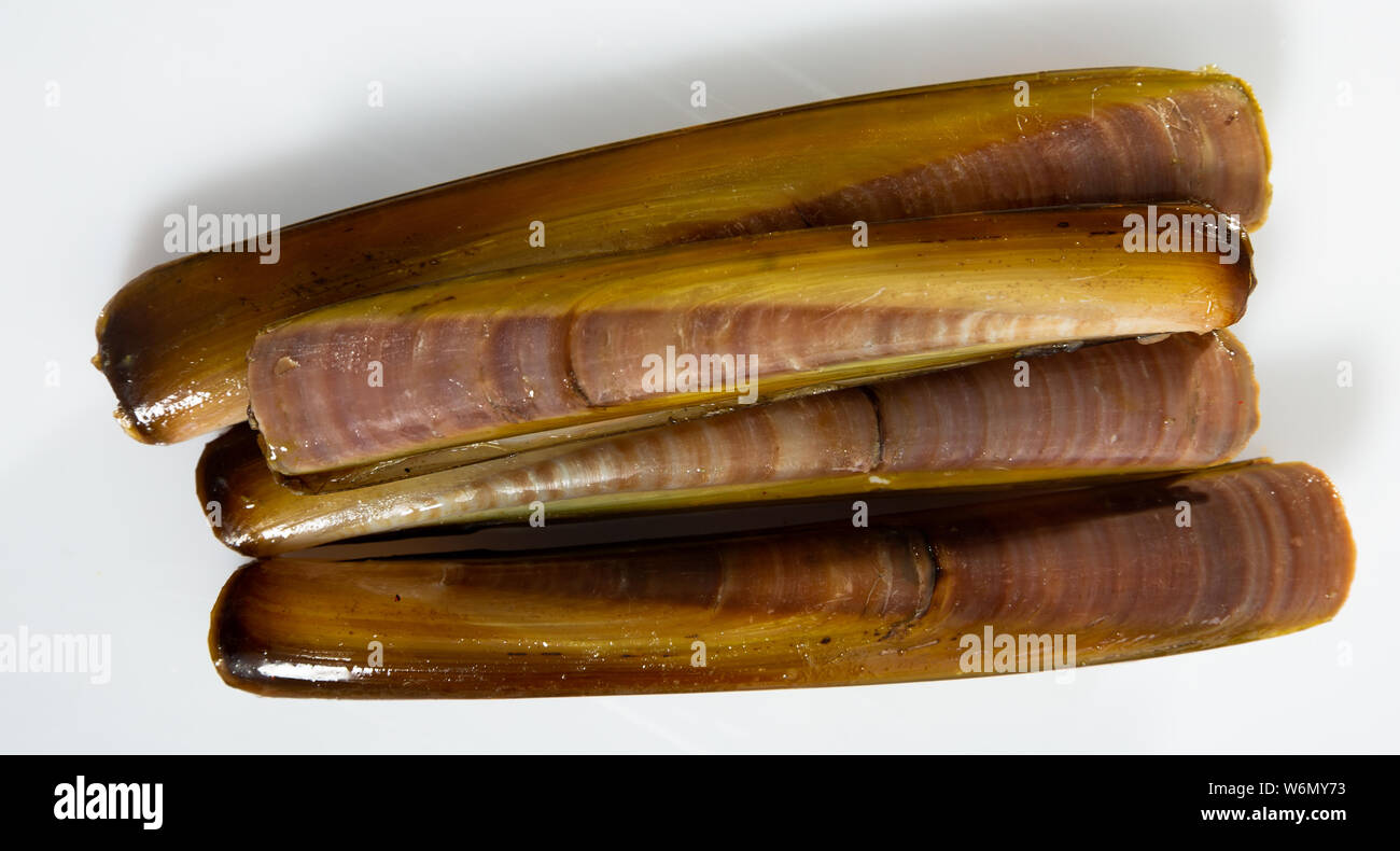 Seafood appetizer. Raw fresh molluscs razorshell (ensis) in shells on ...