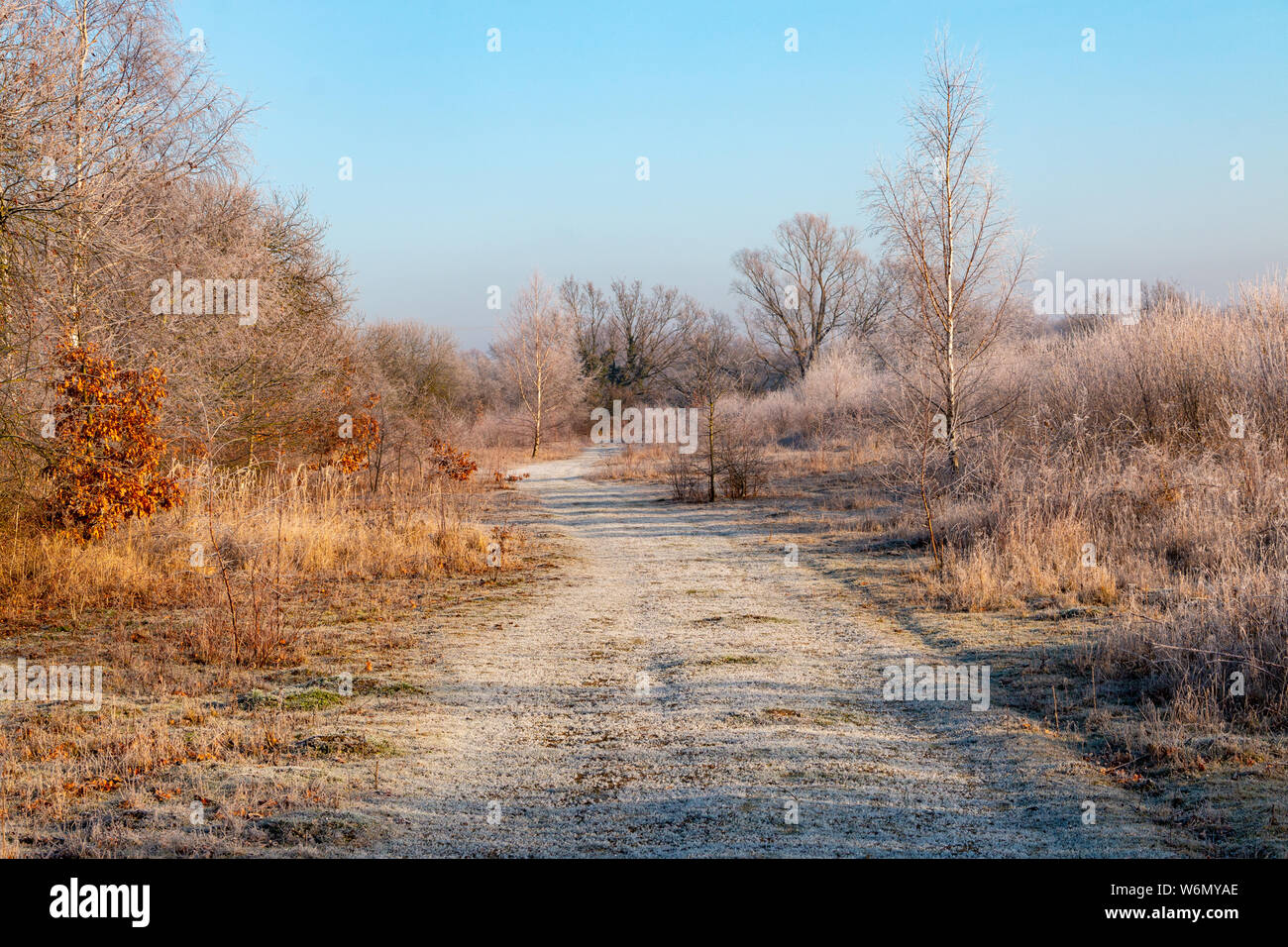 Frosty walk hi-res stock photography and images - Alamy