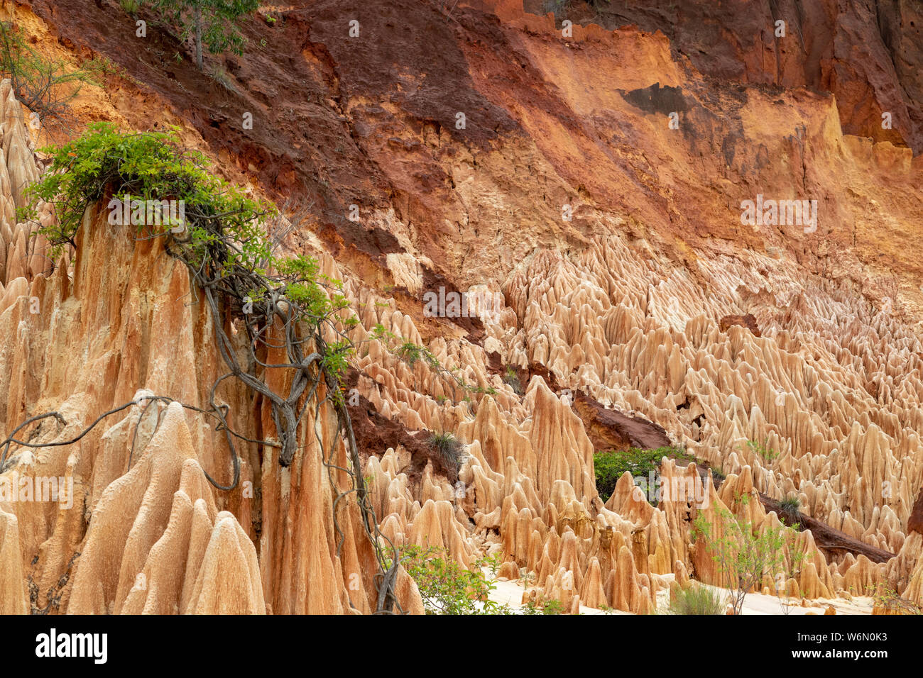 Tsingy rouge, madagascar hi-res stock photography and images - Alamy