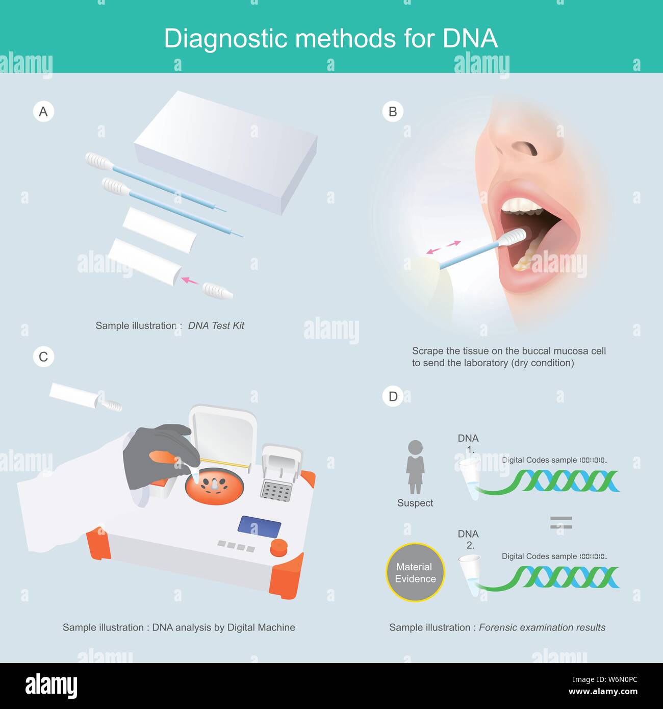 Genetic preservation Stock Vector Images - Alamy
