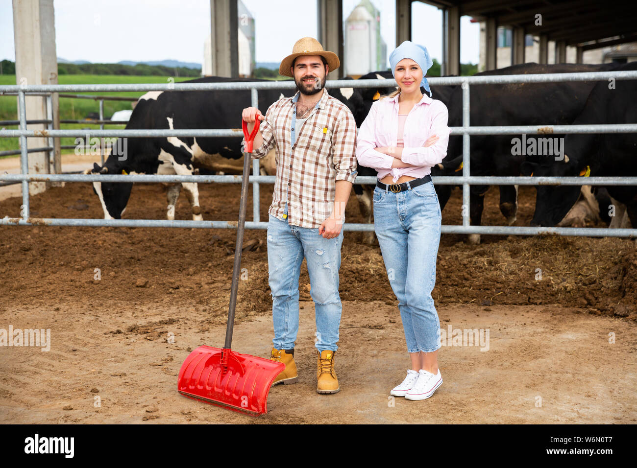 Professional breeders hi-res stock photography and images - Alamy