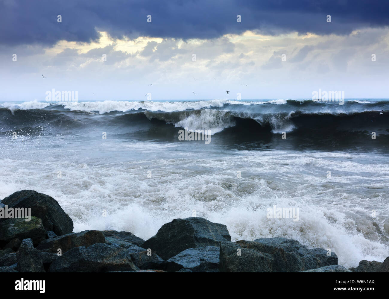 sea wave during storm in windy day Stock Photo - Alamy