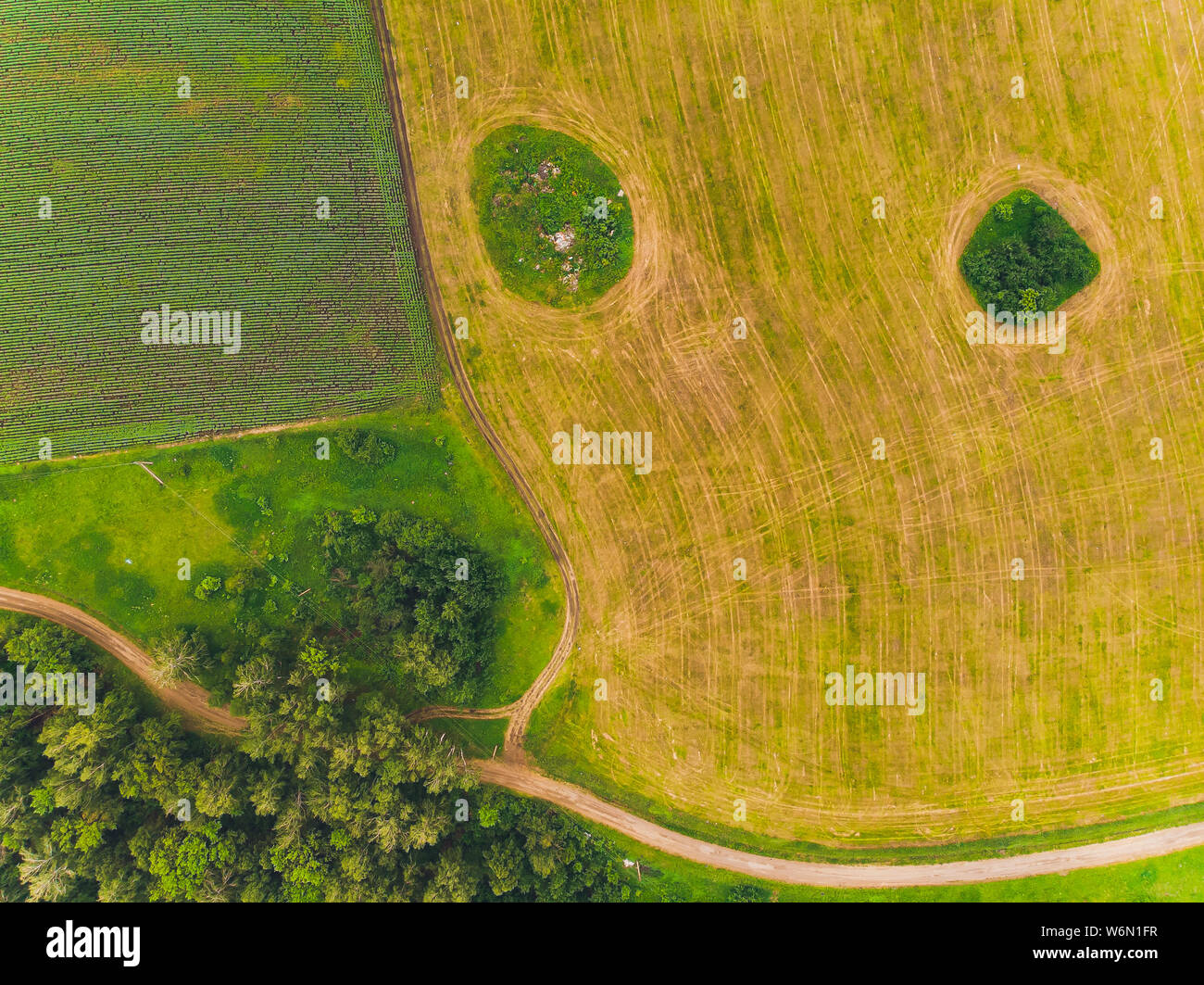 Top view of park, Natural grass texture Stock Photo - Alamy