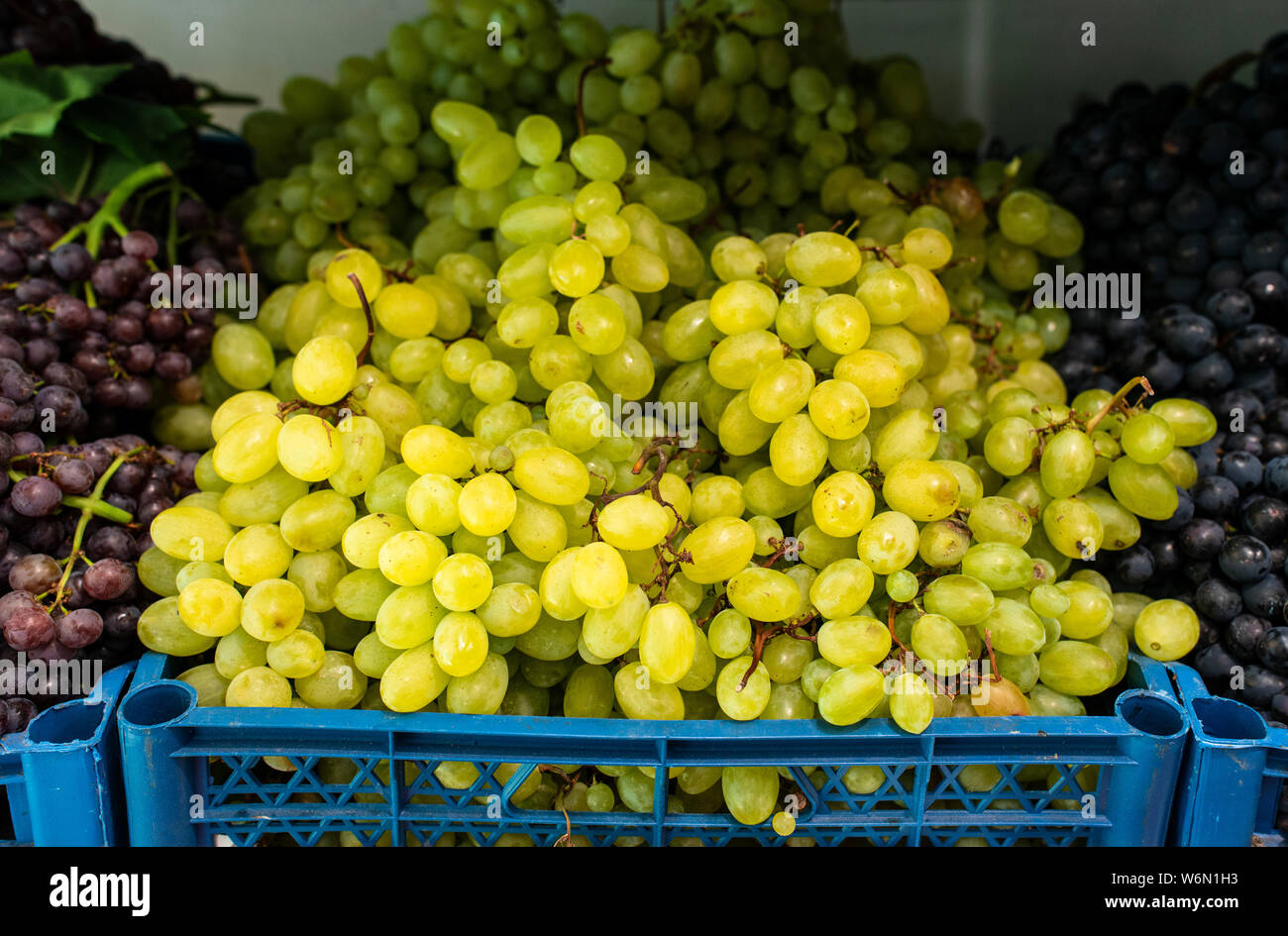 Grapes on shelf in the market. Crates with grape Stock Photo - Alamy
