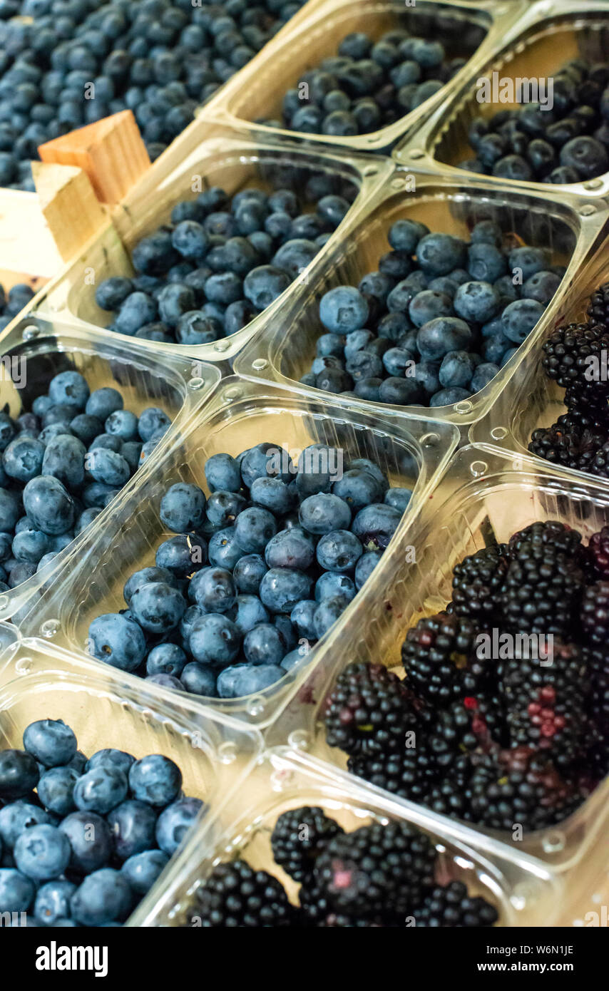 Blueberries on shelf in the market. Sorted fruits in transparent ...