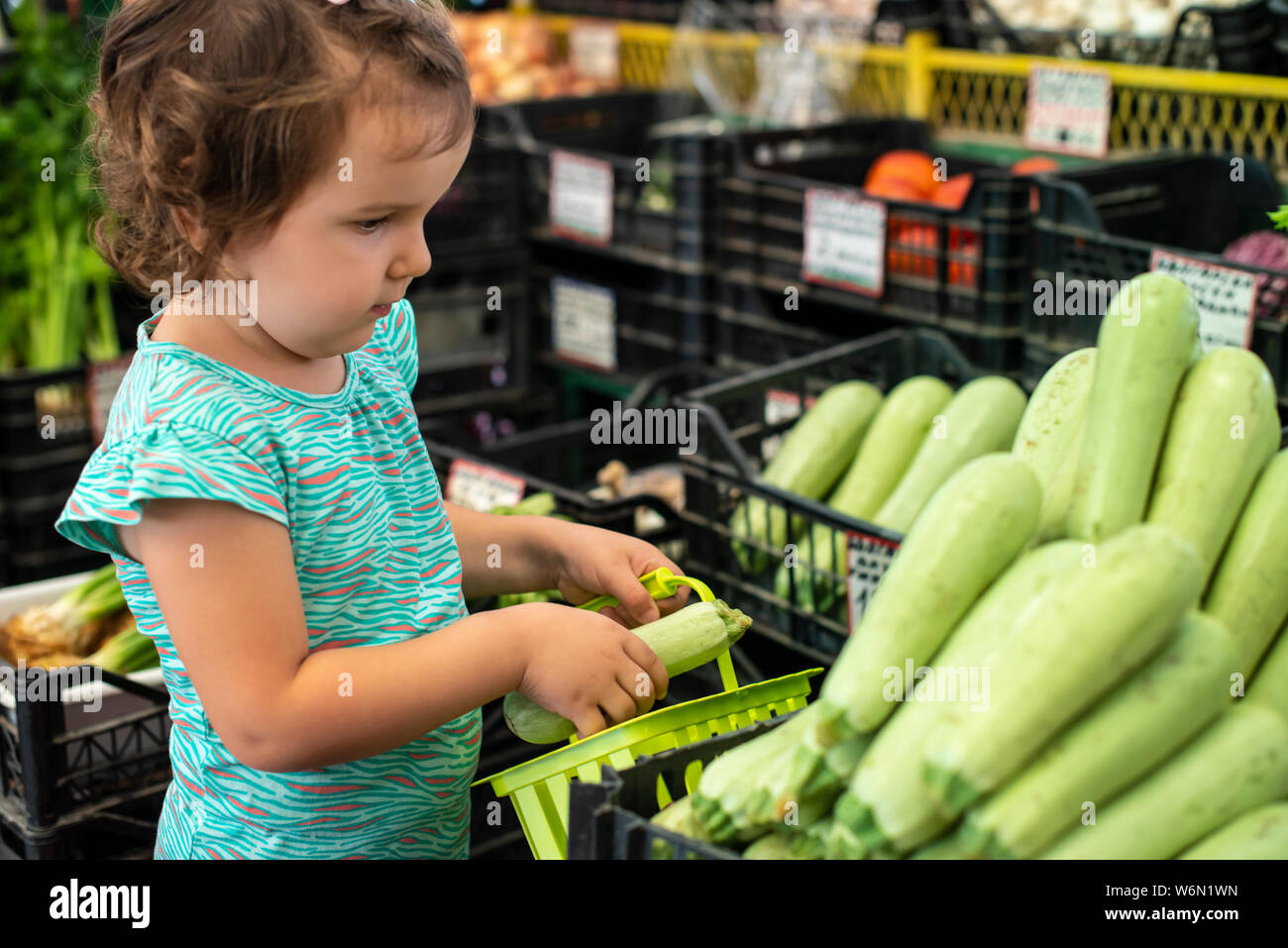 Child collect zucchini in basket. Kid shopping in vegetable market ...