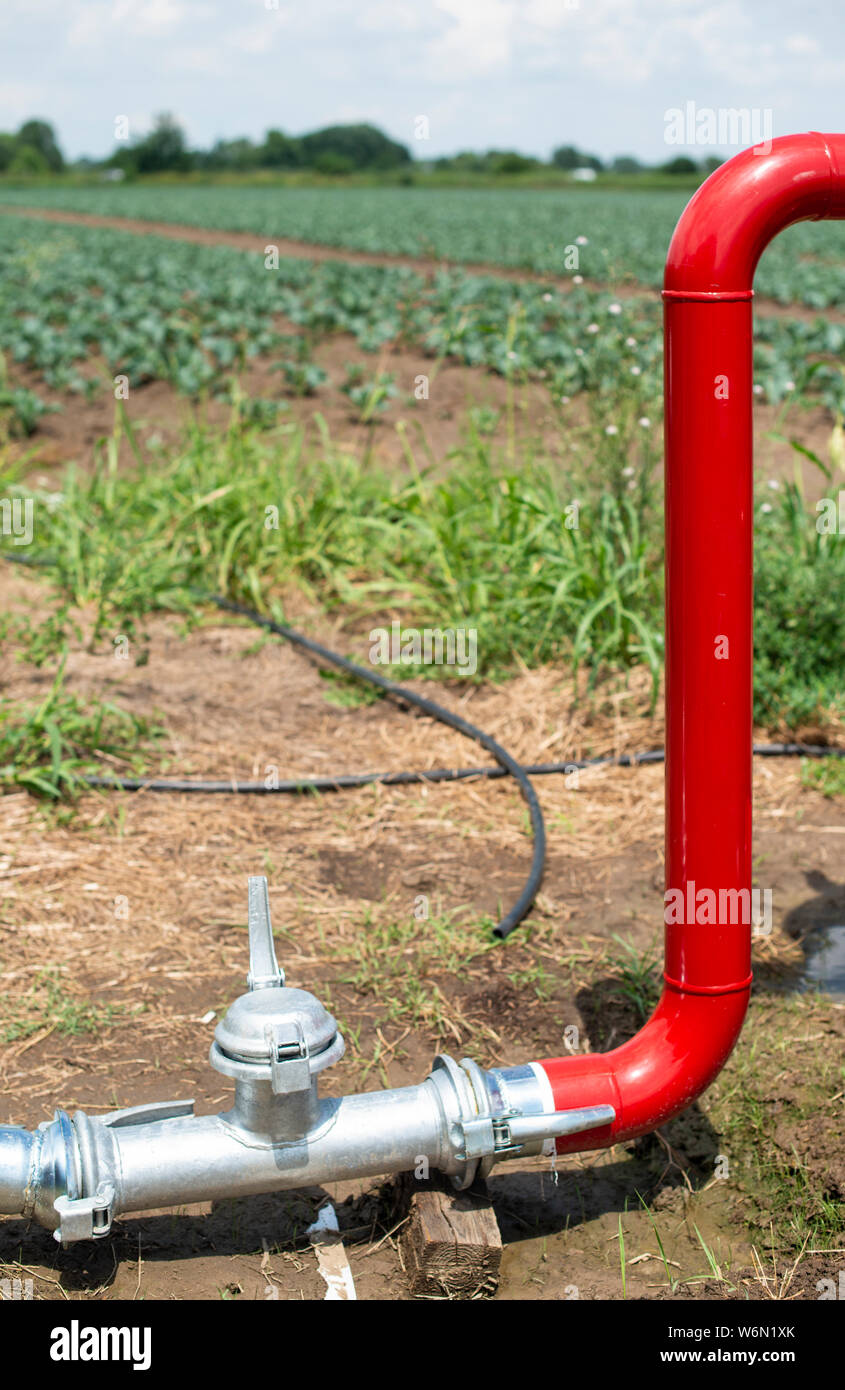 Water pump and pipes on farmland. Agriculture and watering concept ...