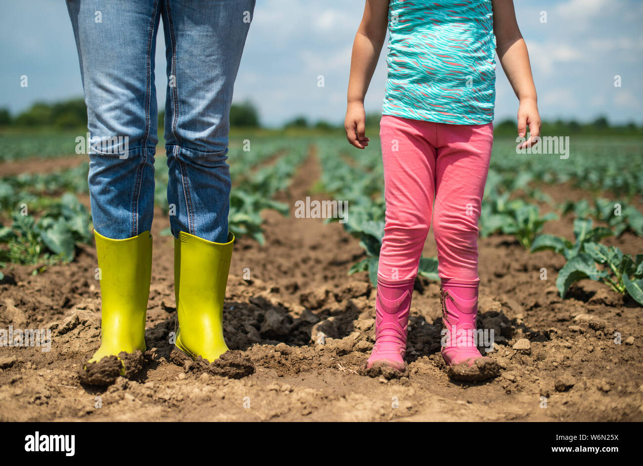 Woman and child on cabbage plantation. Agriculture concept with mother ...