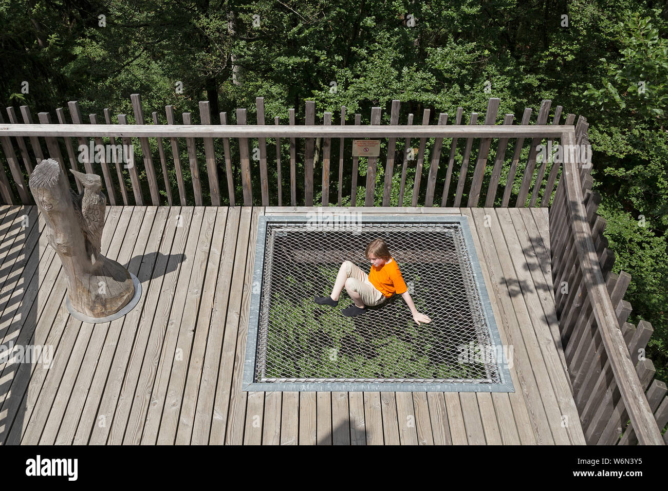boy trying an experience station of the tree-top walk, Neuschönau ...