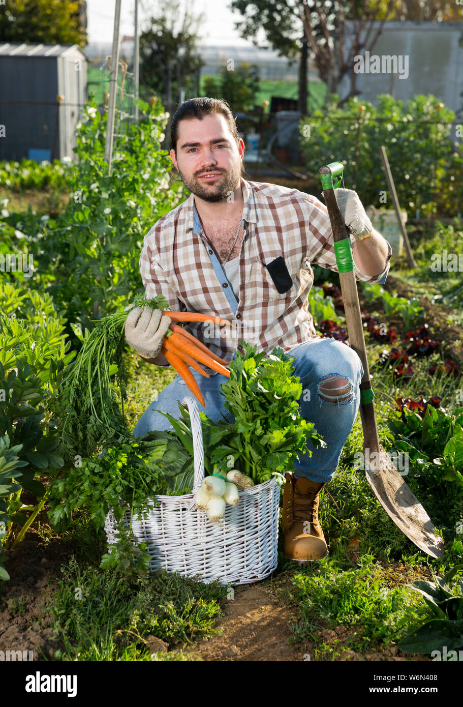 Portrait of smiling gardener with freshly harvested greens and ...