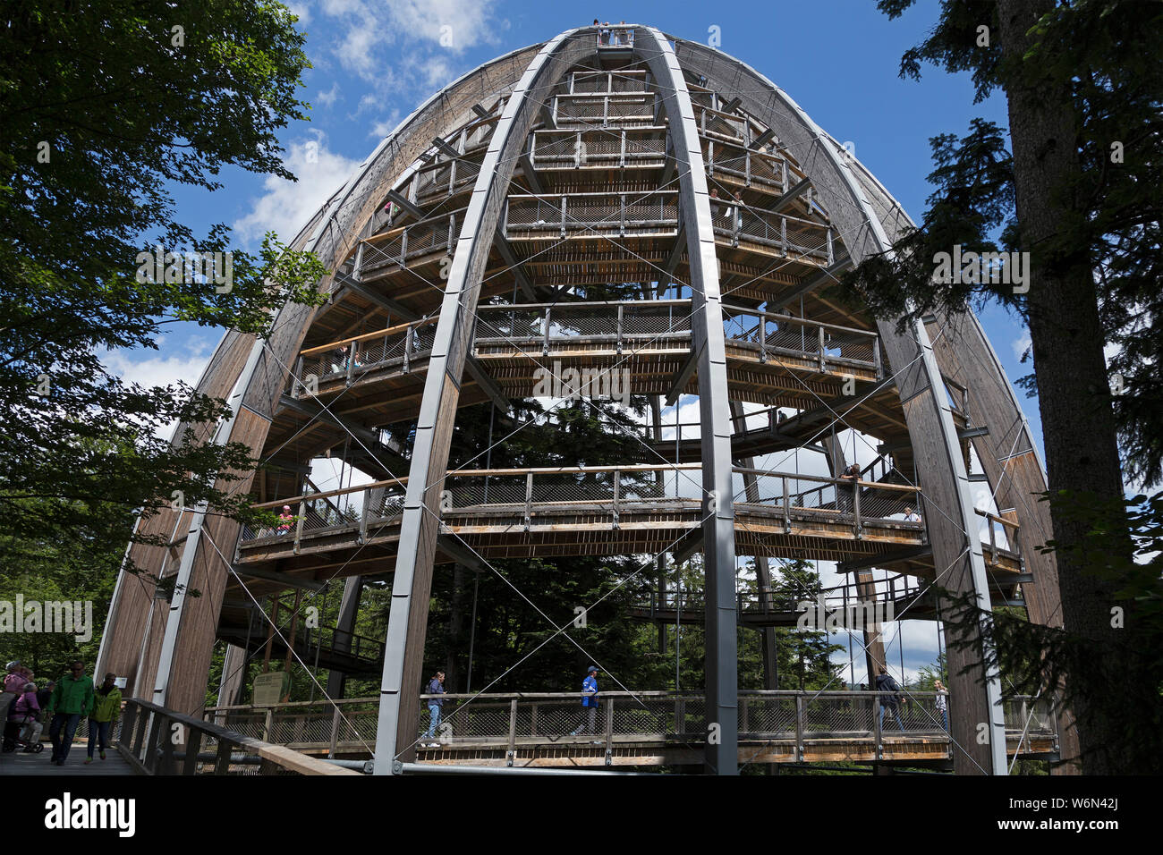 look-out, tree-top walk, Neuschönau, National Park, Bayerischer Wald ...