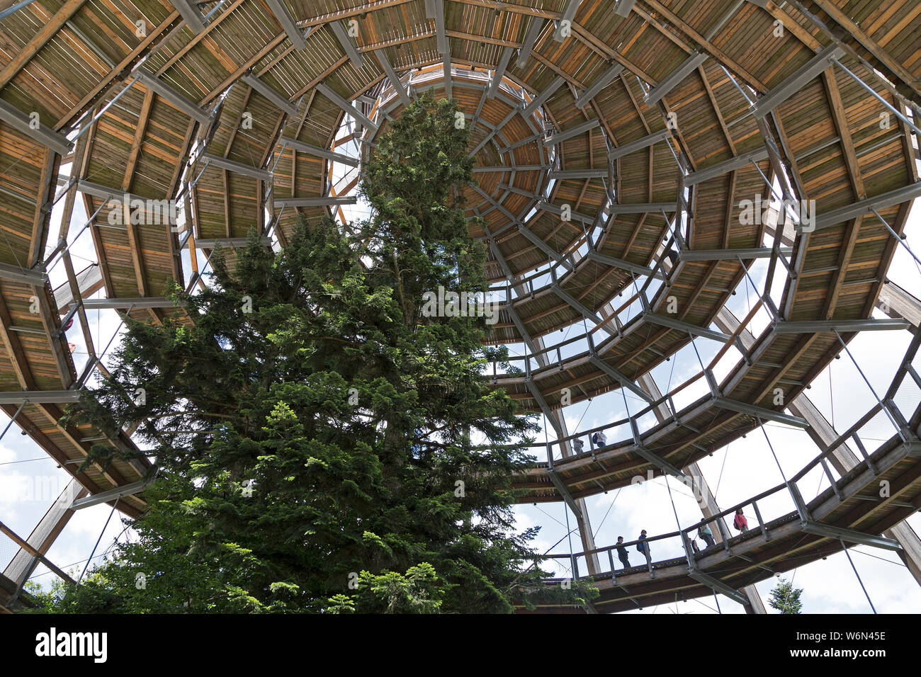 Bavarian forest national park tower hi-res stock photography and images ...