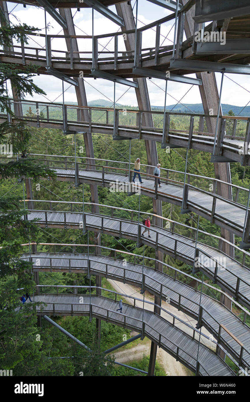 Bavarian forest national park tower hi-res stock photography and images ...