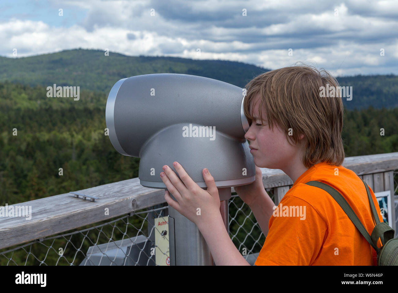 boy looking through telescope, look-out, tree-top walk, Neuschönau ...