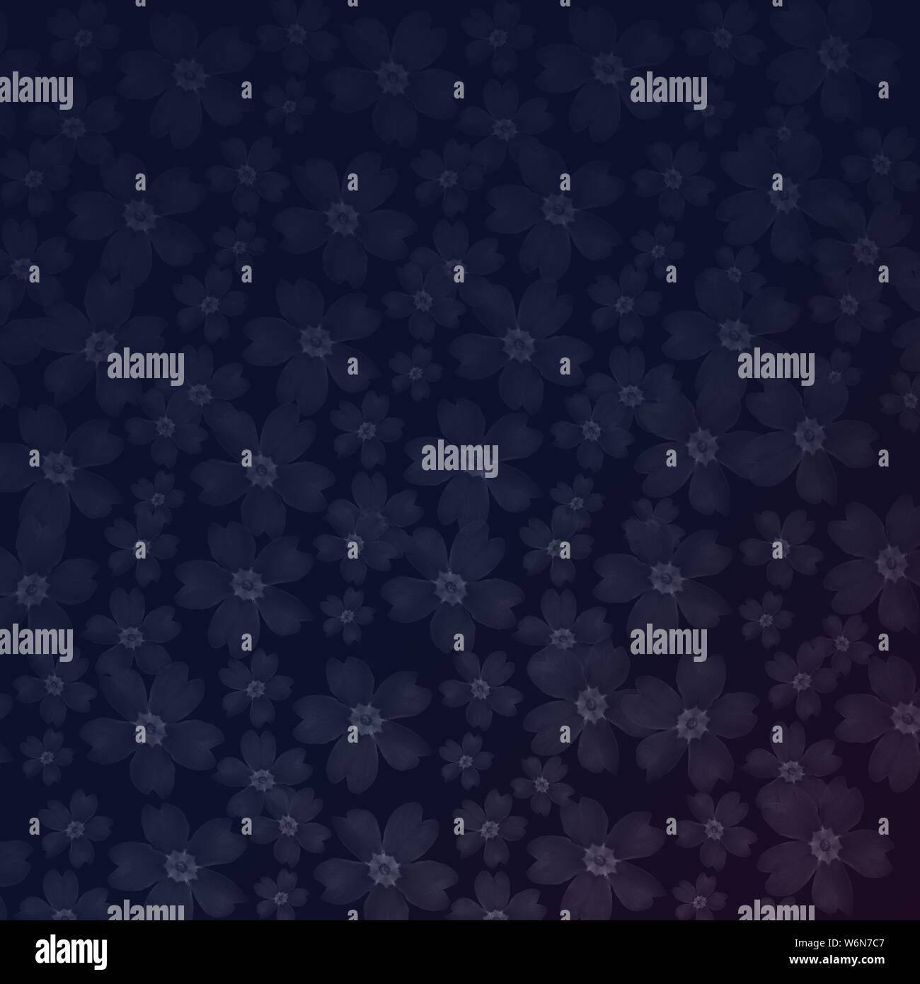 Luxury floral background soft hi-res stock photography and images - Alamy