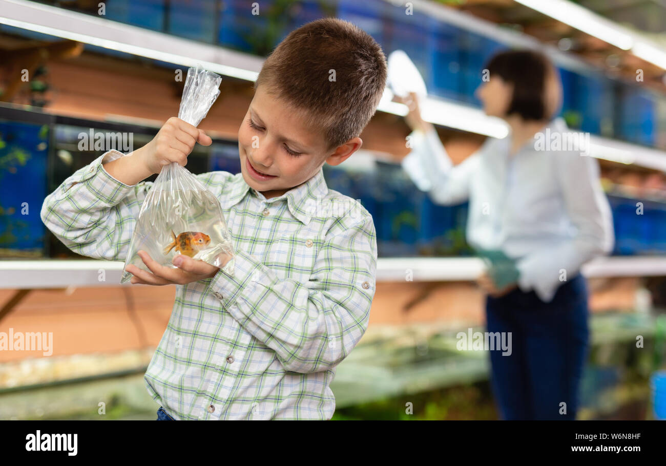 Happy teen boy standing with exotic aquarium fish in plastic bag in pet ...