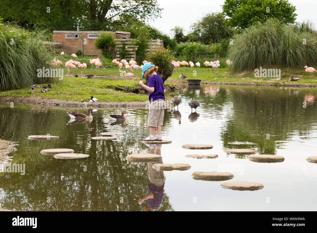 Child on step stone / children / kids / kids play on stepping stones ...