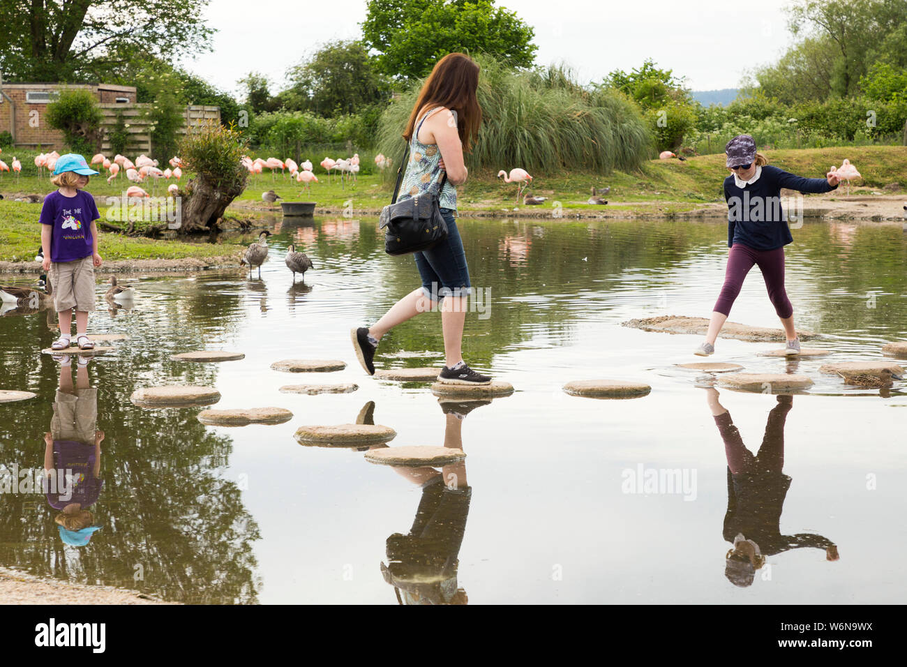 Woman on step stone / child / children / kids / kids play on stepping ...