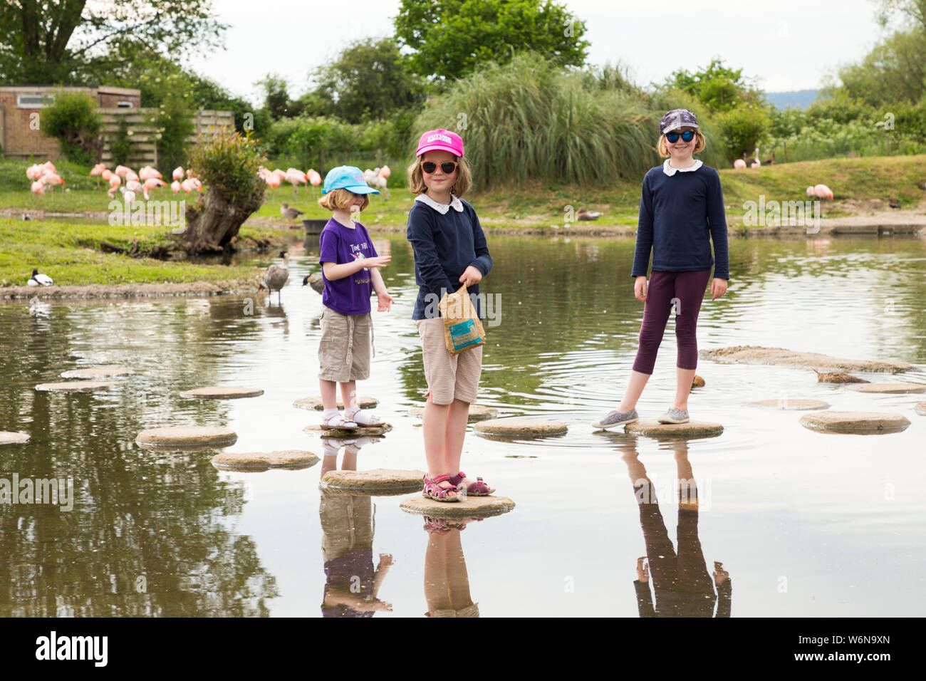 Child on step stone / children / kids / kids play on stepping stones ...