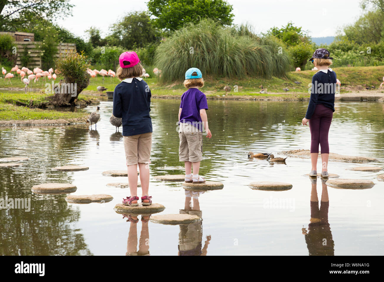 Child on step stone / children / kids / kids play on stepping stones ...