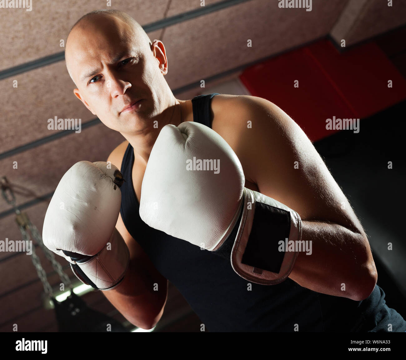 Potrait of professional man boxer who is training in gym Stock Photo ...