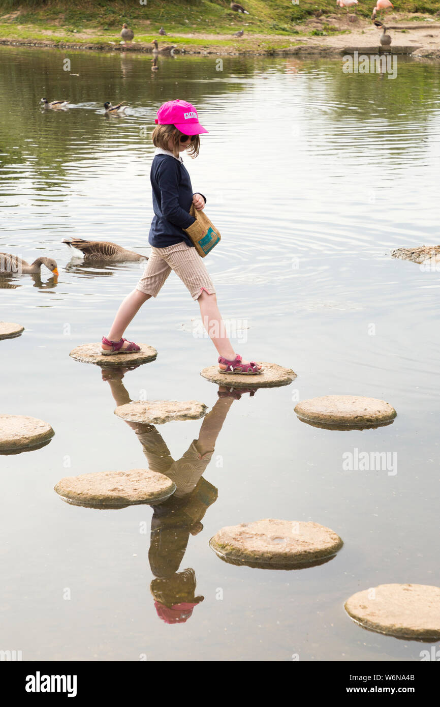 Step Stones High Resolution Stock Photography and Images - Alamy