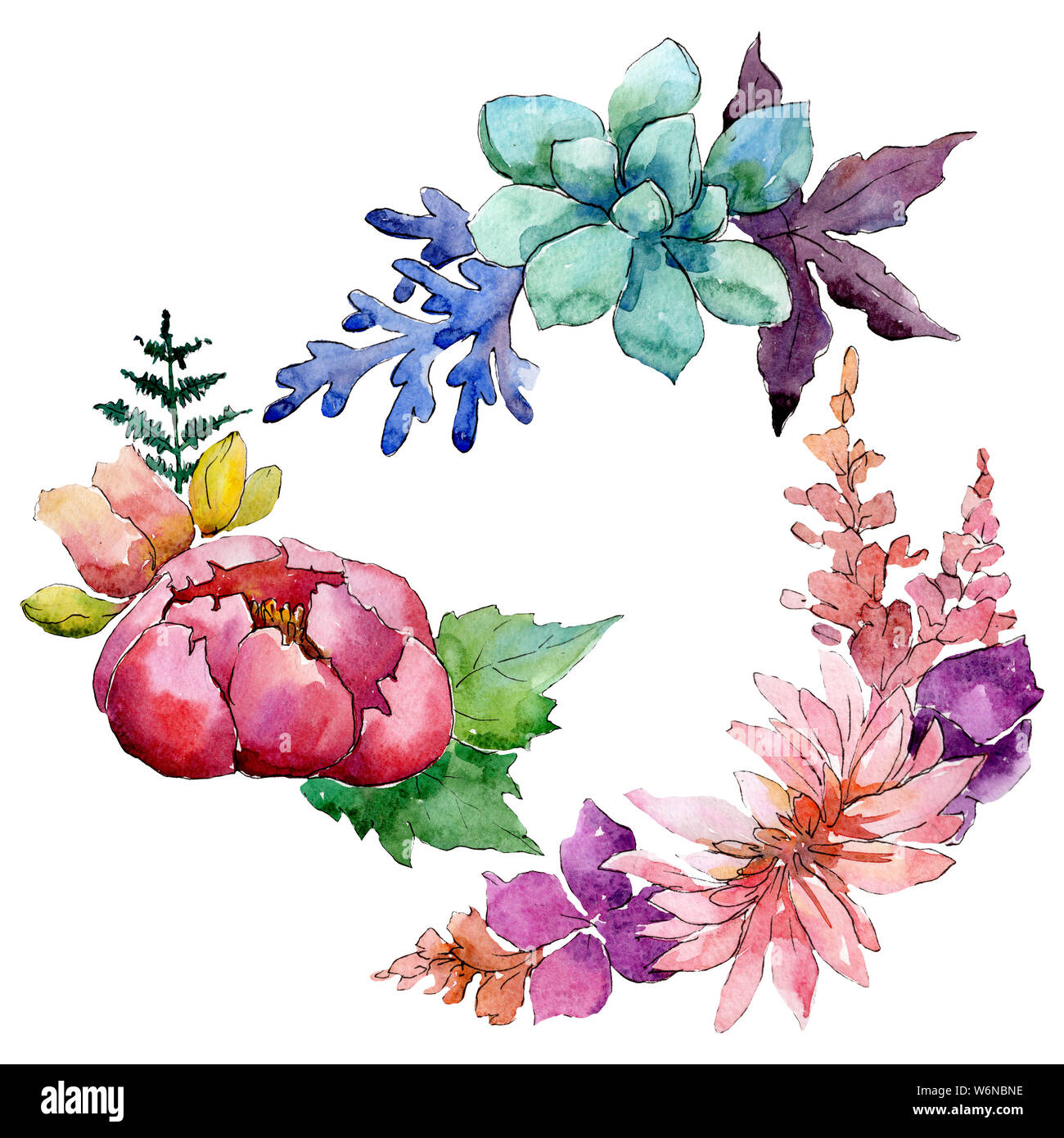 Flower composition. Floral botanical flowers. Watercolor background set ...