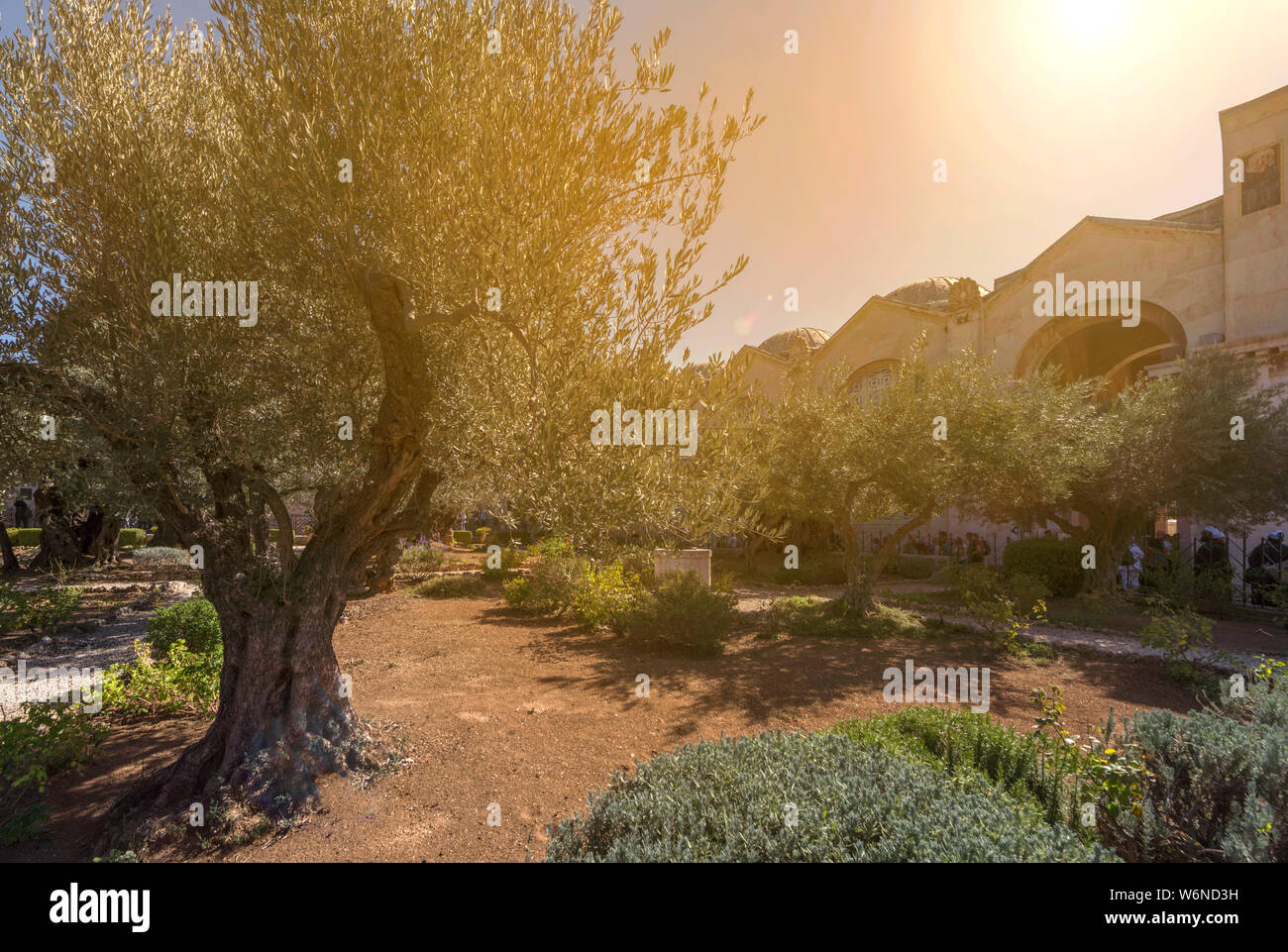 Israel garden hi-res stock photography and images - Alamy