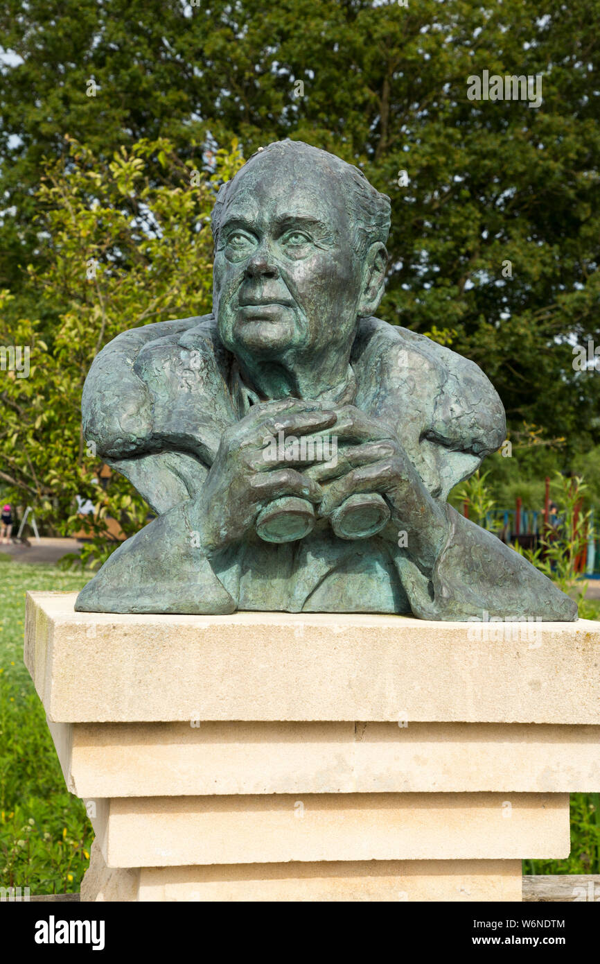 Bronze statue bust of Sir Peter Scott with binoculars, by Jacqueline ...