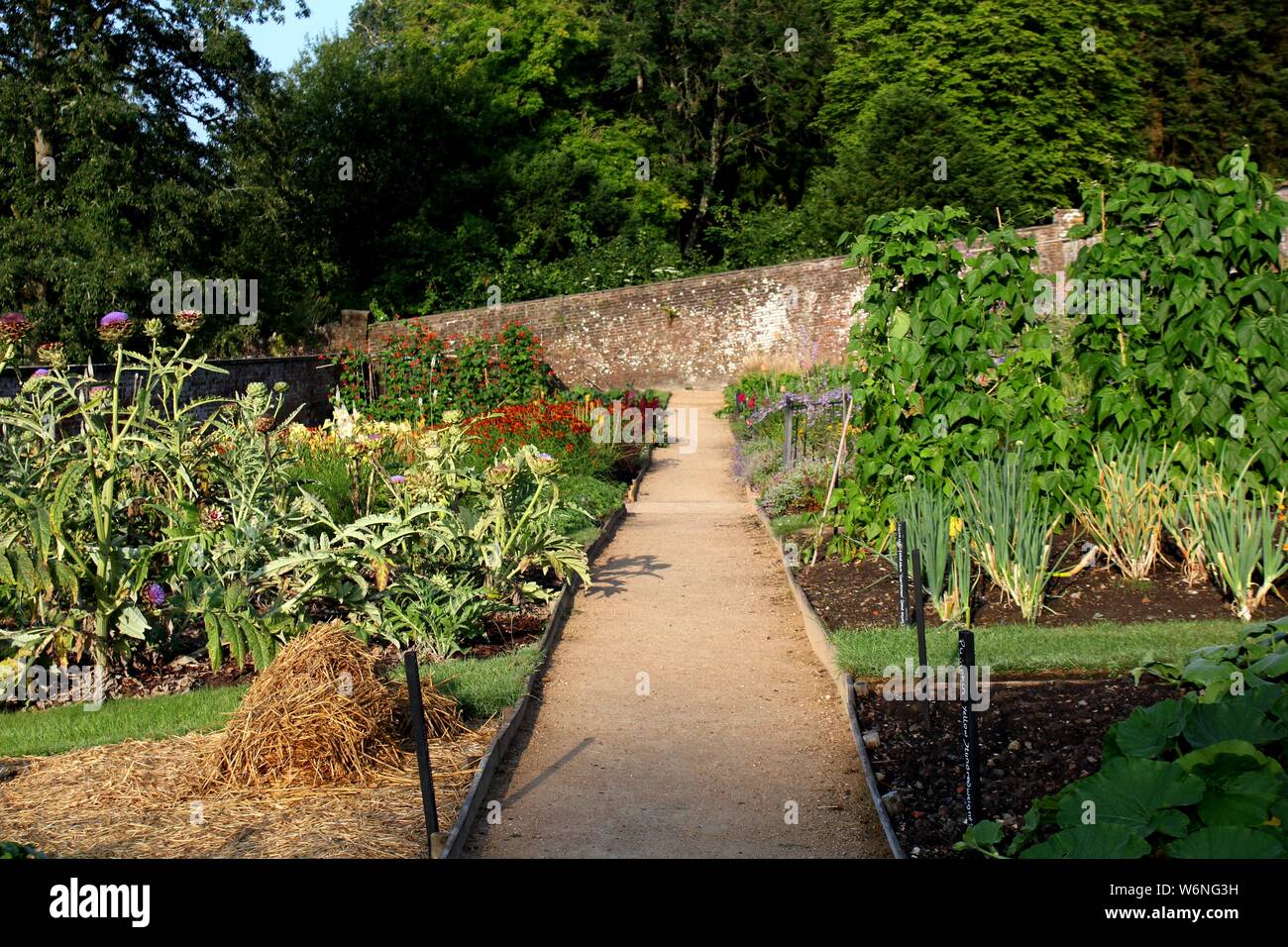 Walled Vegetable Garden with pathway in early morning sunlight ...