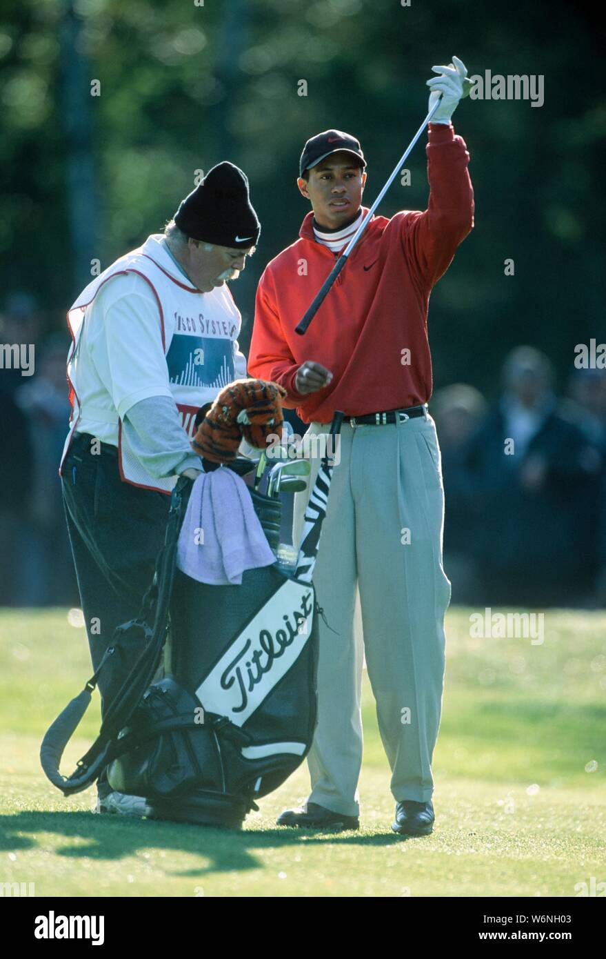 Tiger Golf Head Cover High Resolution Stock Photography and Images - Alamy
