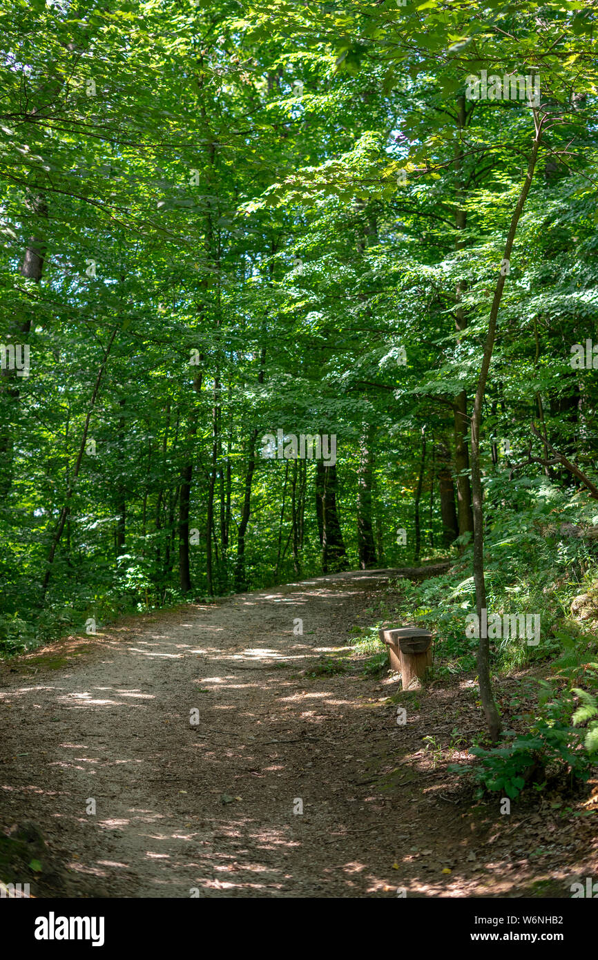 Outdoor scenery and woods hi-res stock photography and images - Alamy