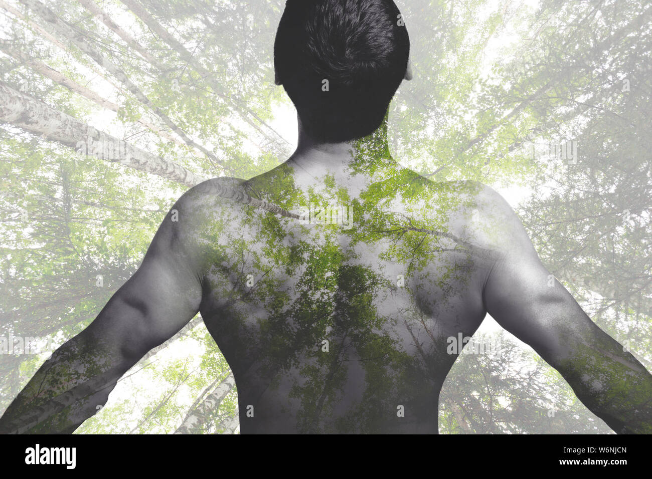 Back to nature background hi-res stock photography and images - Alamy