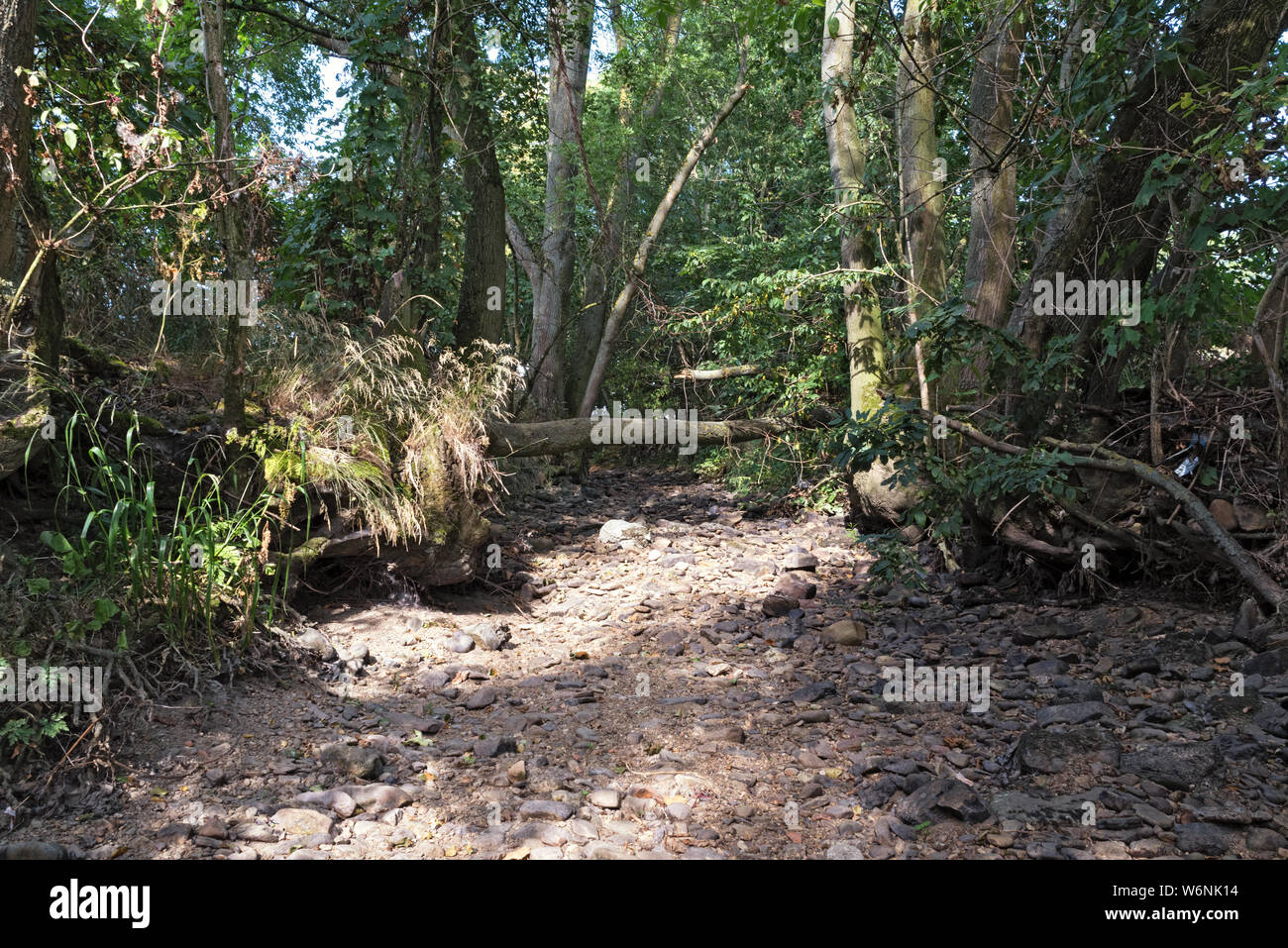 Dried out brook bed hi-res stock photography and images - Alamy