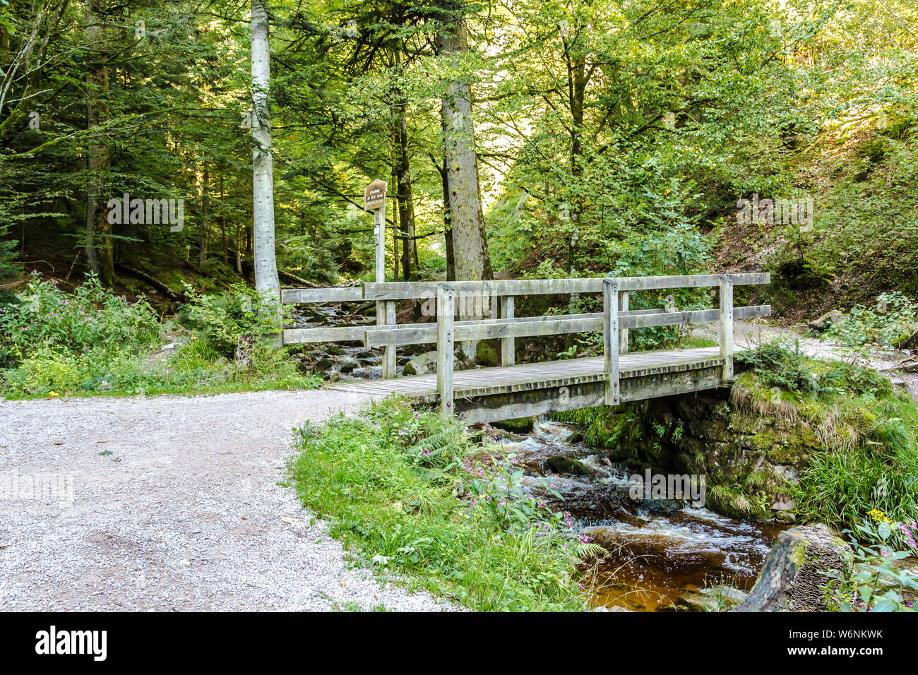 Scenic landscape of a rustic wooden bridge on a trail or footpath over ...
