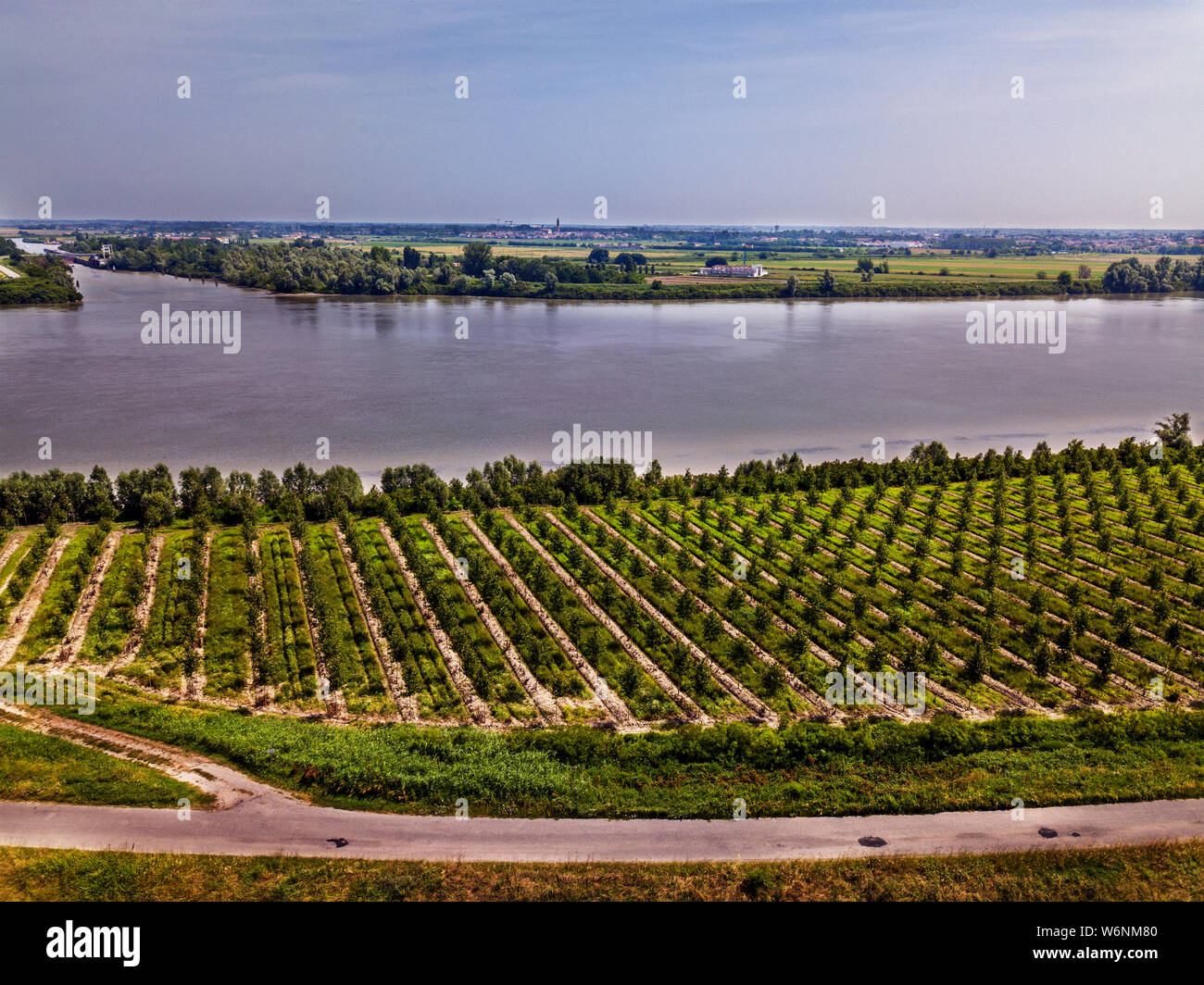 The charm of the river Po in Italy, with the poetry of the cultivated ...