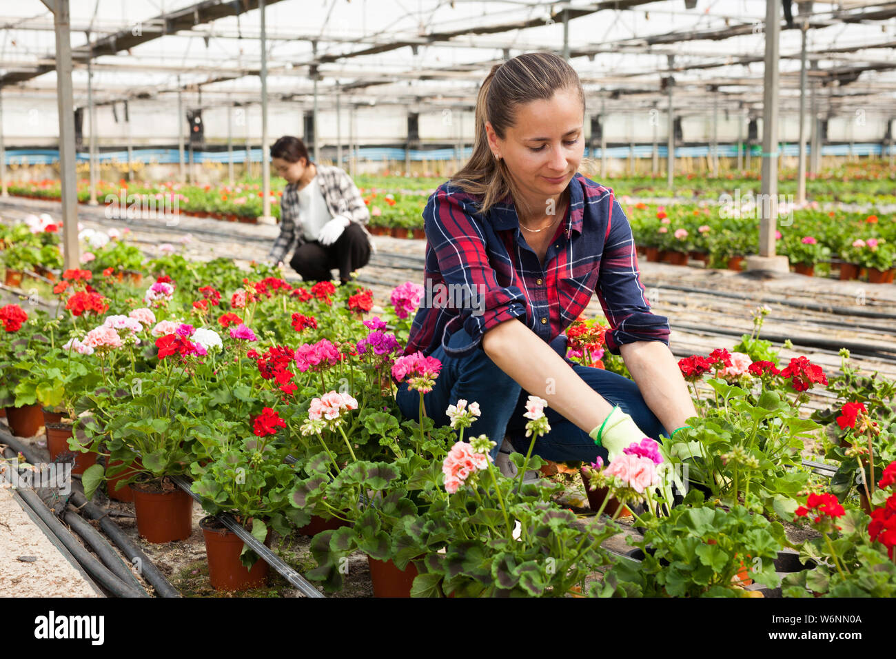 Experienced female worker gardening hi-res stock photography and images ...