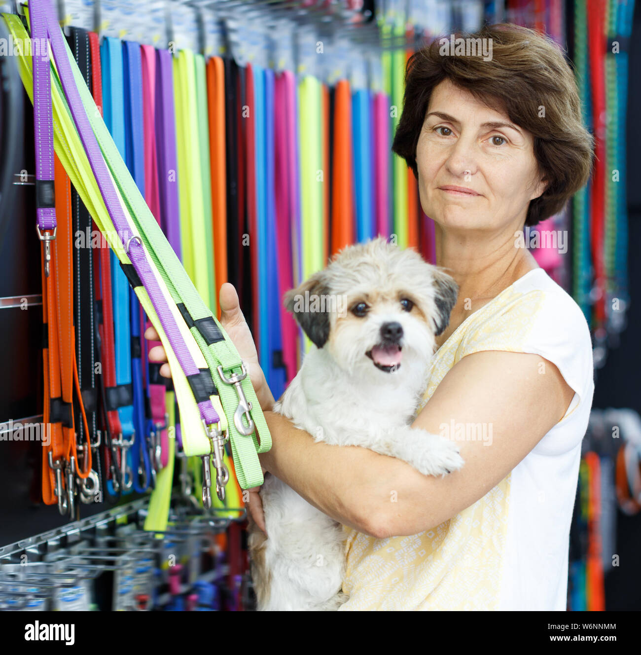 Woman visiting pet shop in search of accessories for her dog Stock ...