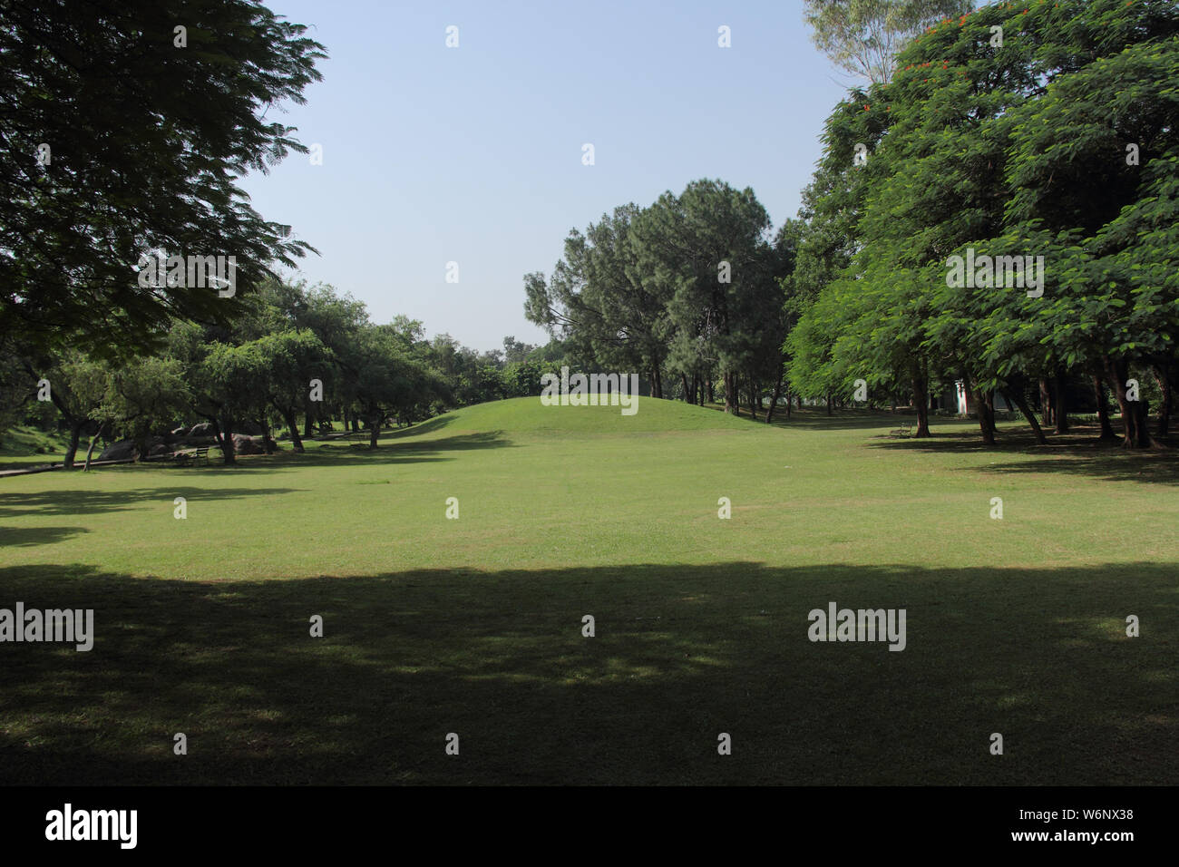 Trees in a park, India Stock Photo - Alamy