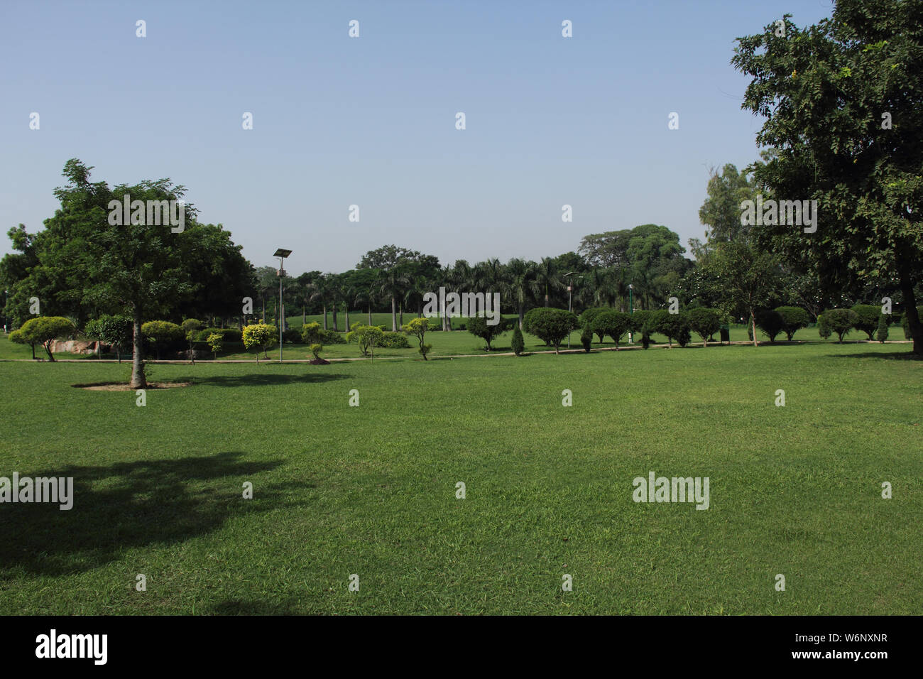Trees in a garden, India Stock Photo - Alamy