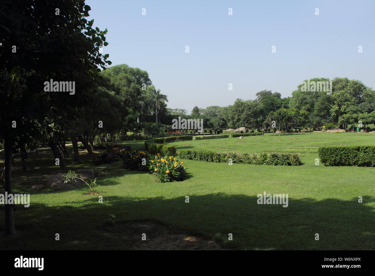 Trees in a garden, India Stock Photo - Alamy