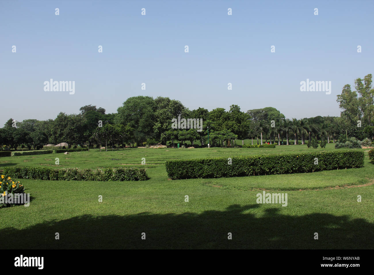 Trees in a garden, India Stock Photo - Alamy