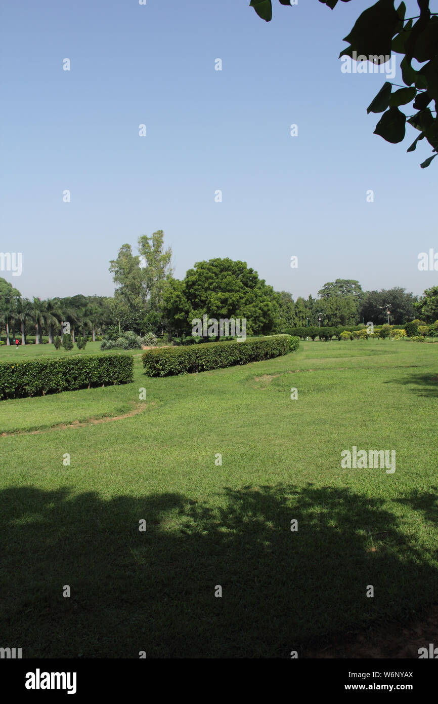 Trees in a garden, India Stock Photo - Alamy